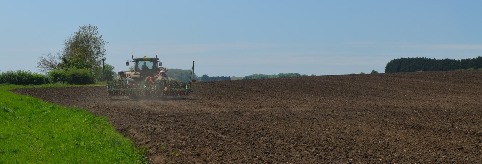 The Art of Producing a Successful Seedbed | amtec-group.com