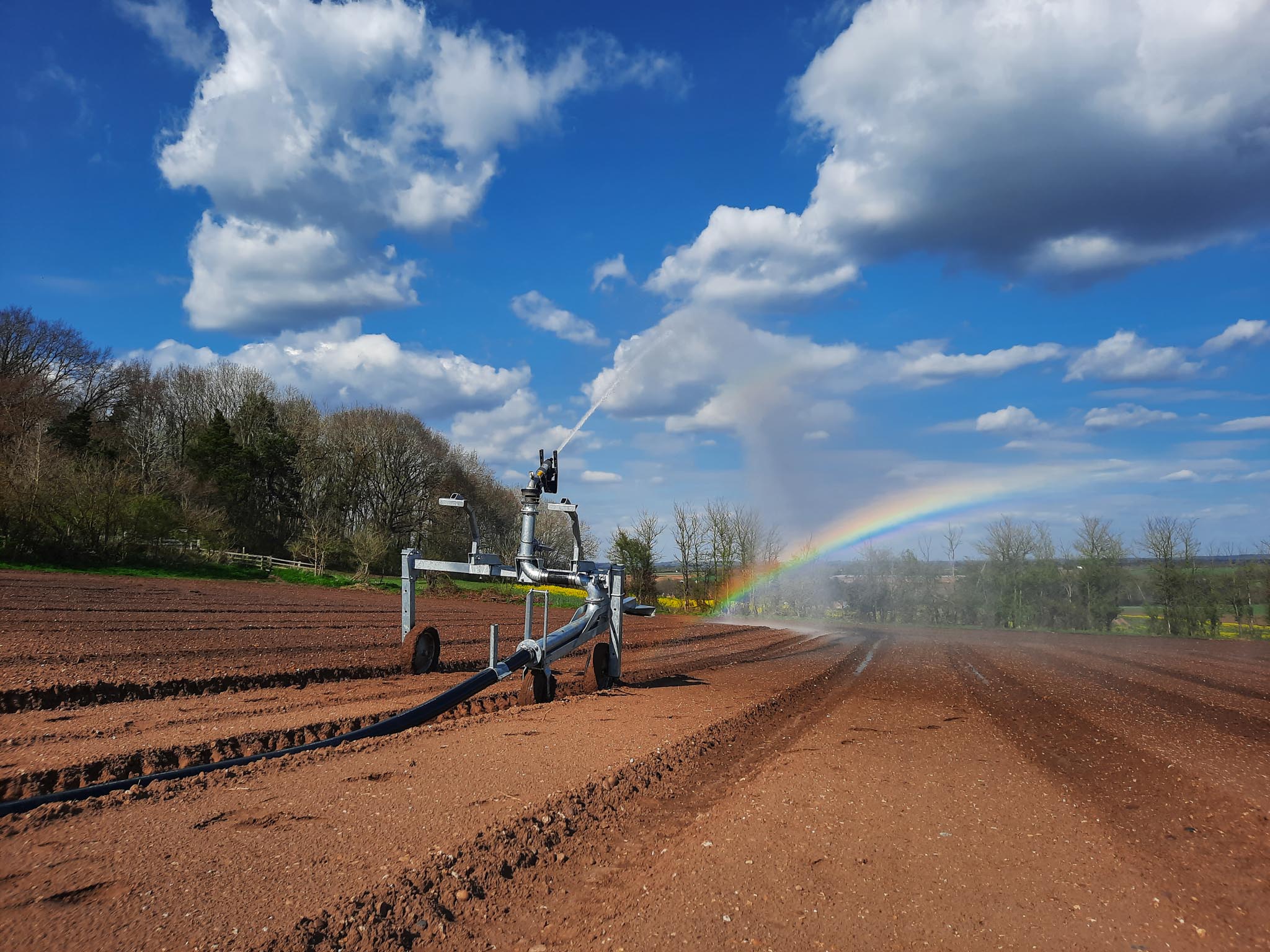 Transforming sustainable farming with precision agriculture and smart ...